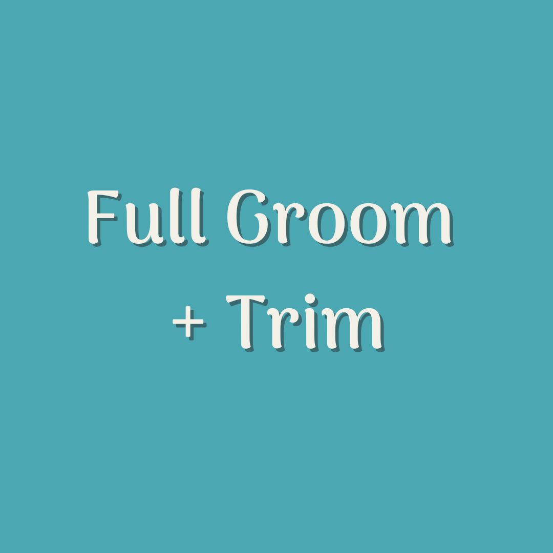 Full Groom + Trim - Alice in Bunderland®